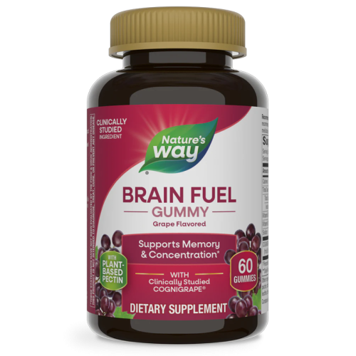Brain Fuel
